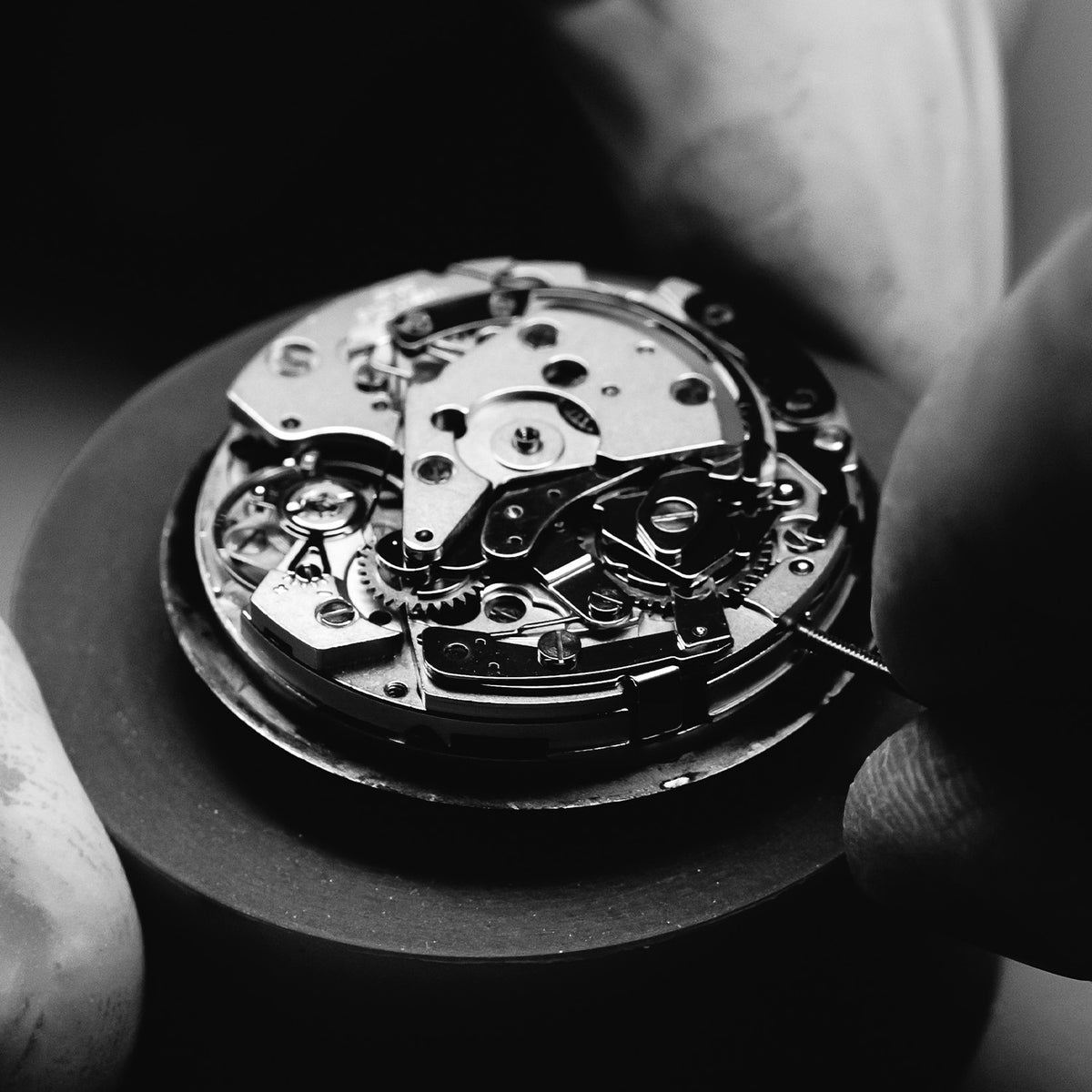 Swiss Watchmaking Savoir-Faire